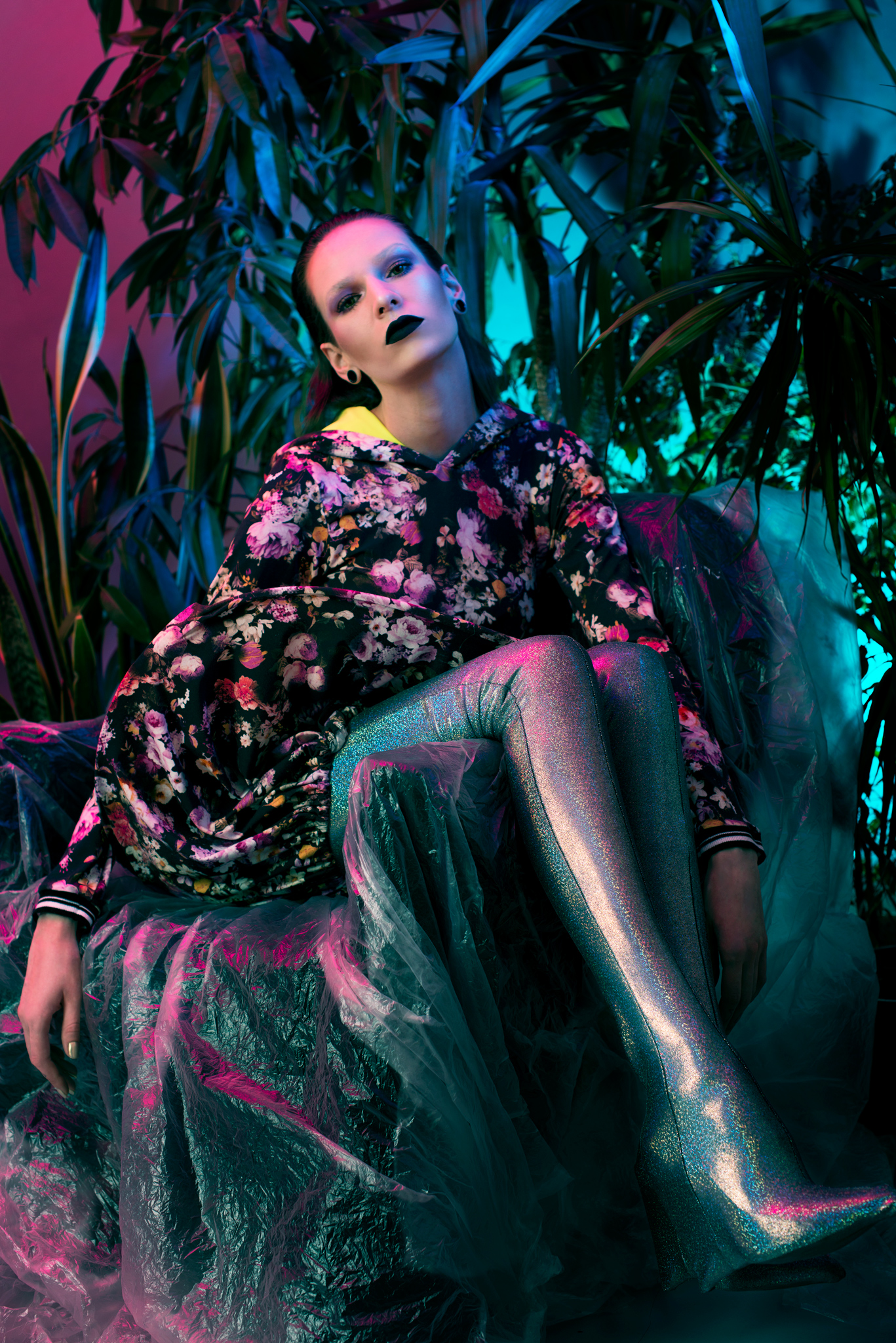Lola Shine Management
